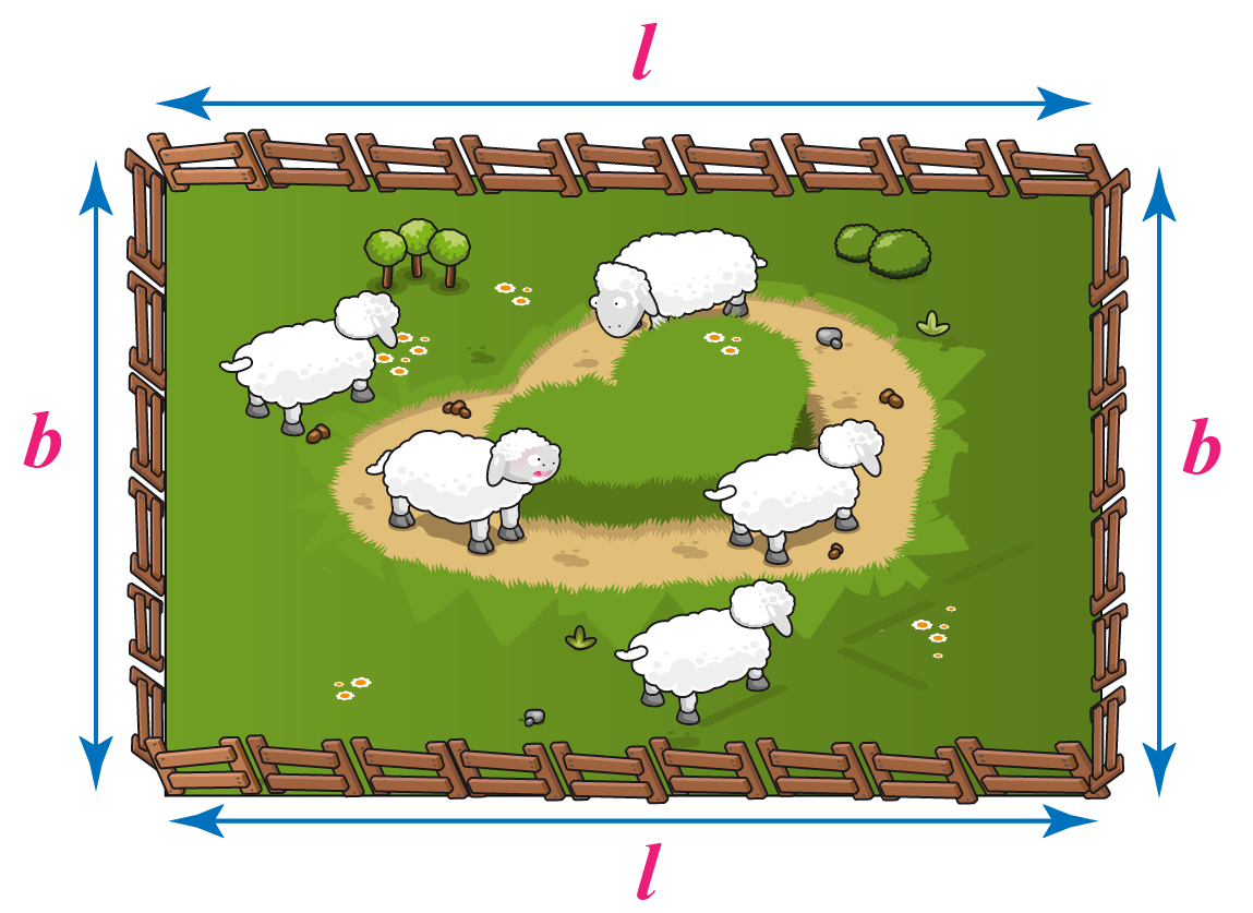 Perimeter of a Rectangle - Cuemath