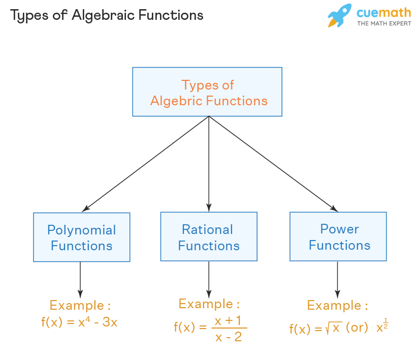 Algebraic Function Definition Examples Types