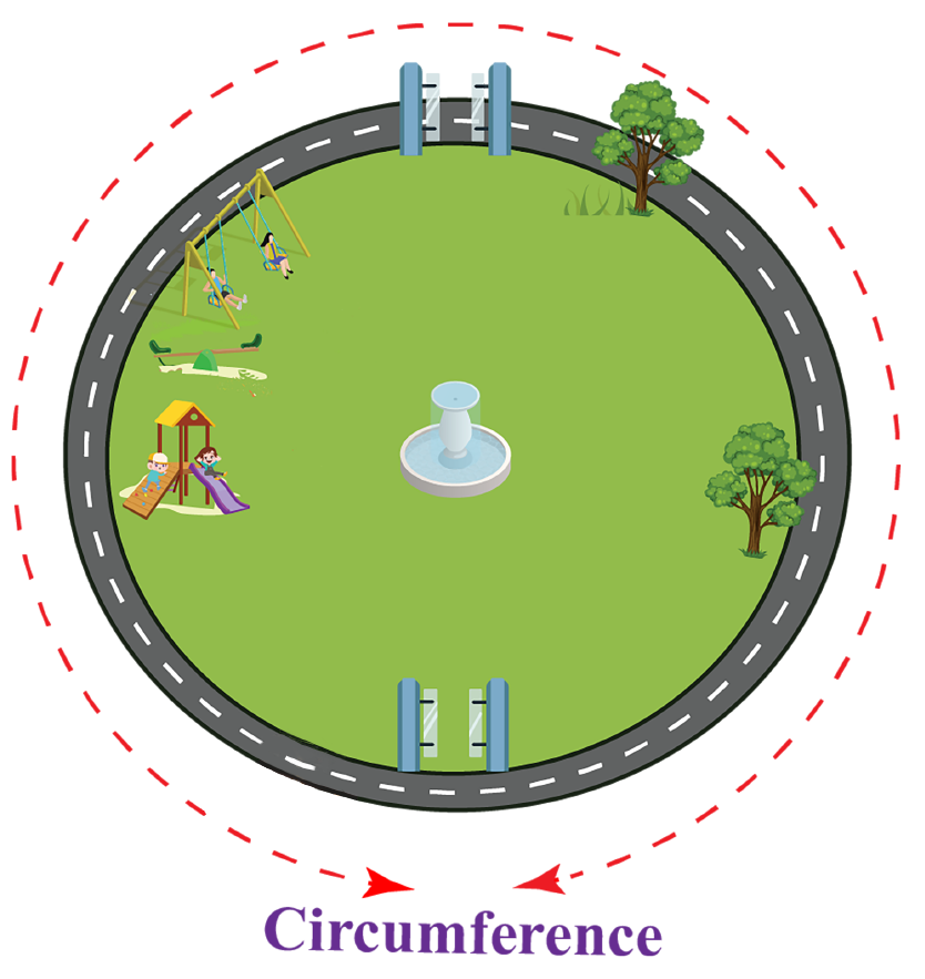 Circumference To Diameter - Cuemath
