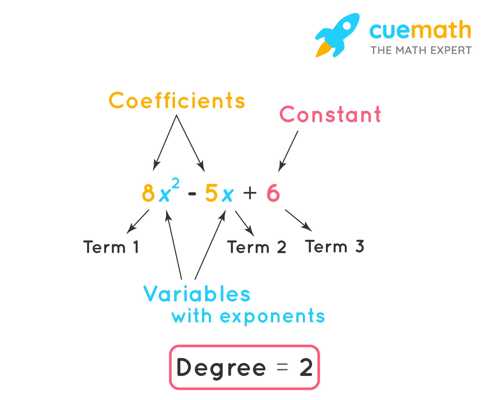 Polynomial Expressions Basics Definition Examples