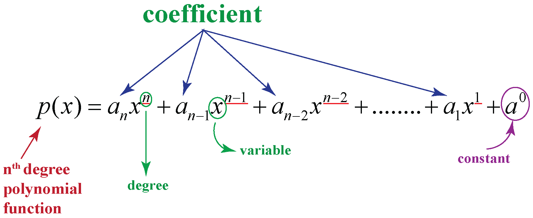 Nth Degree Polynomial General Form Concept Solved Examples Cuemath