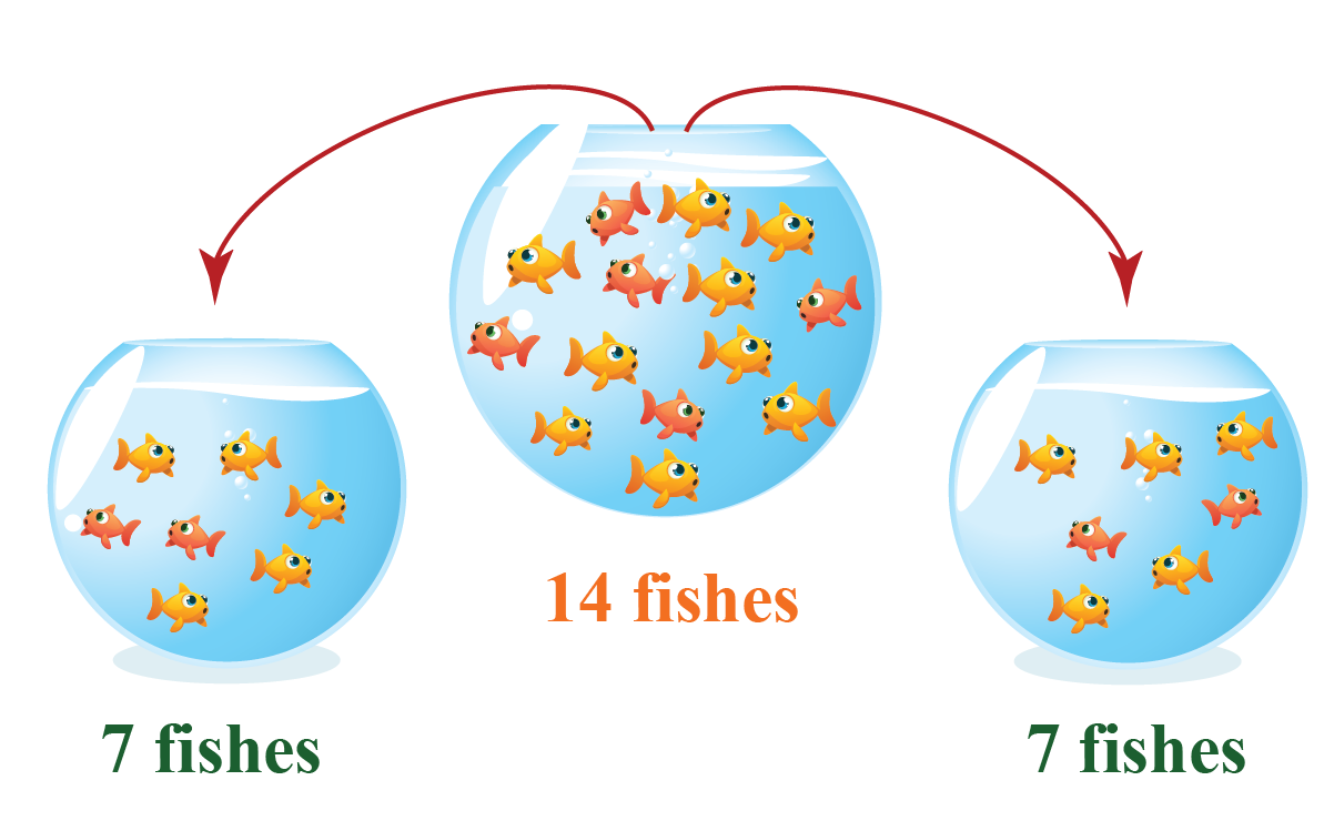 Division Solved Examples Numbers Cuemath