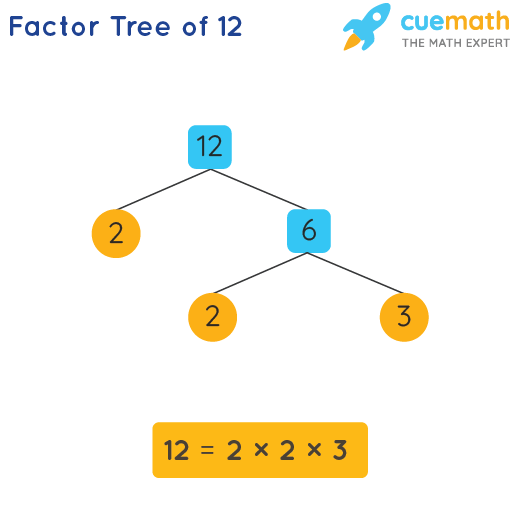 Factor Tree Of 14