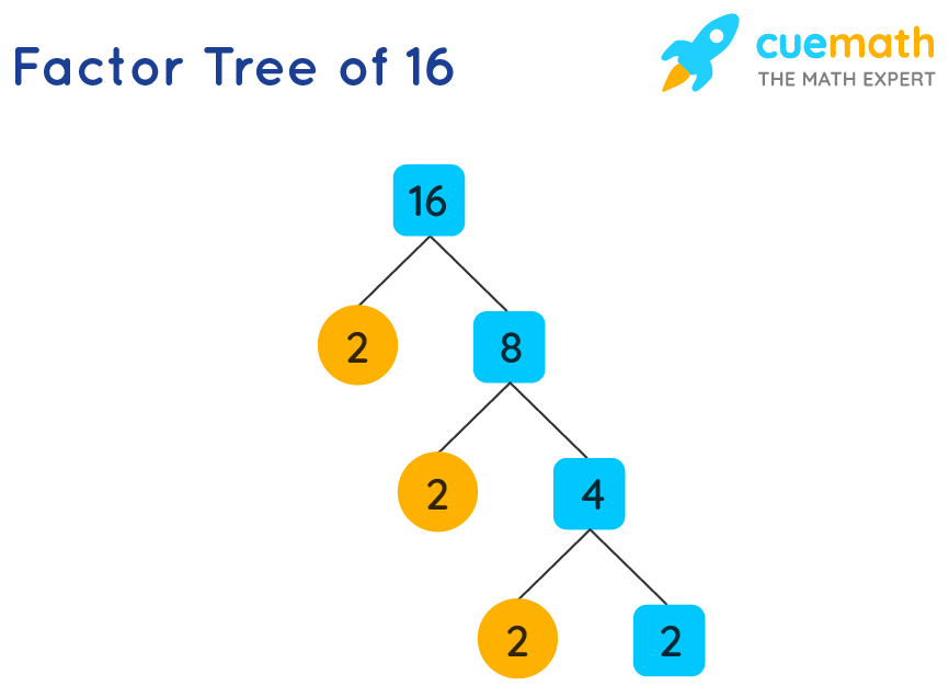 Factors Of 16 Find Prime Factorization Factors Of 16