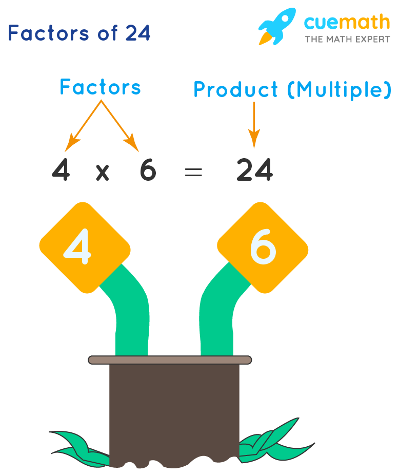 Factors Of 24 Find Prime Factorization Factors Of 24
