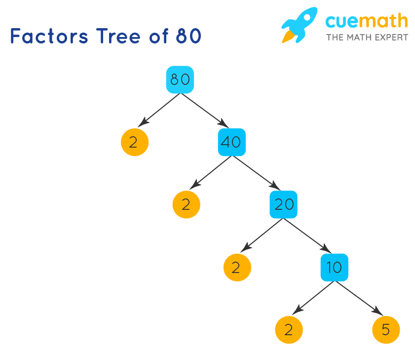 Factors Of 80 Find Prime Factorization Factors Of 80