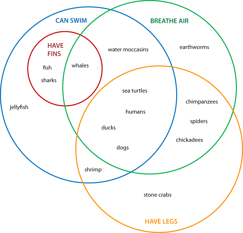 Diagrams Venn
