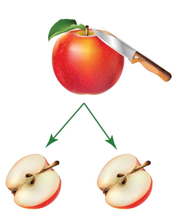 Division Of Fractions | Solved Examples | Numbers- Cuemath