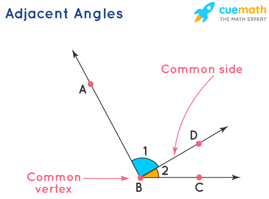 Adjacent angles have a common vertex, a common __________ and no-common ...