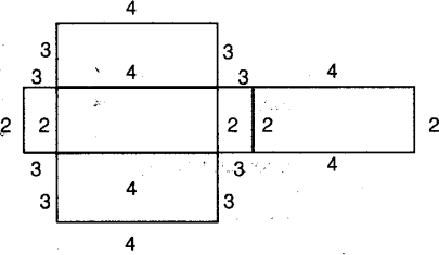 Draw the net of the following cuboid