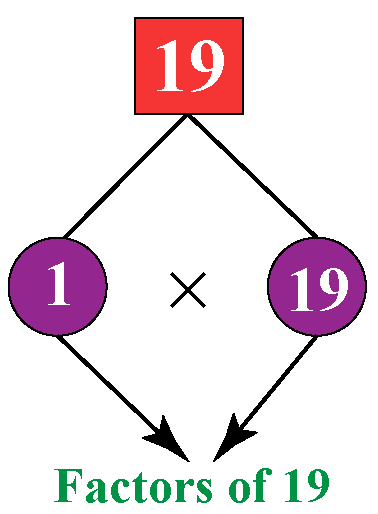 Factors of 19 - Cuemath Factors of 19 - Cuemath