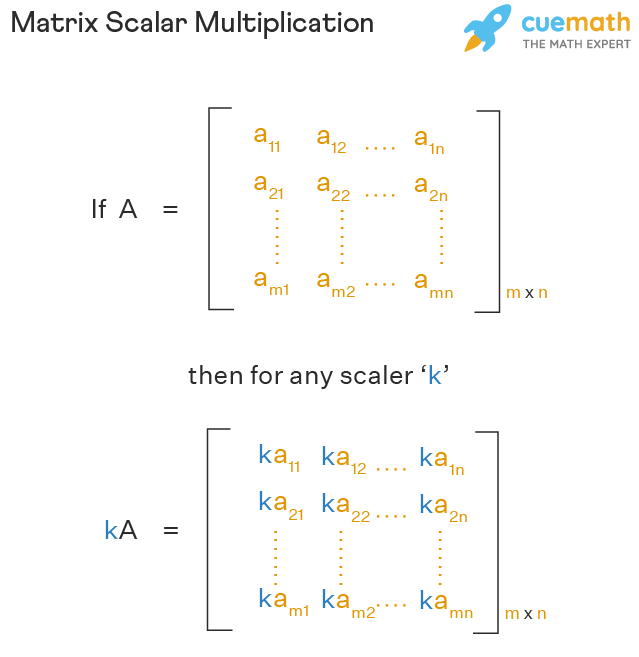 Matrix Scalar Multiplication Properties Formula Examples