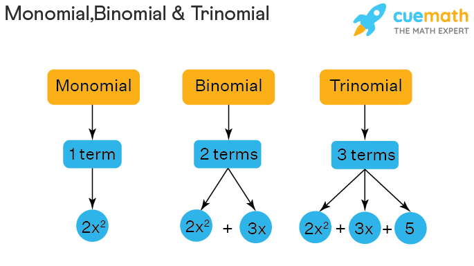 Monomial Definition Degree Monomial Examples En AsriPortal