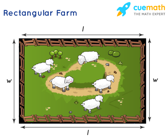 how to find the length and width of a rectangle when given the ...