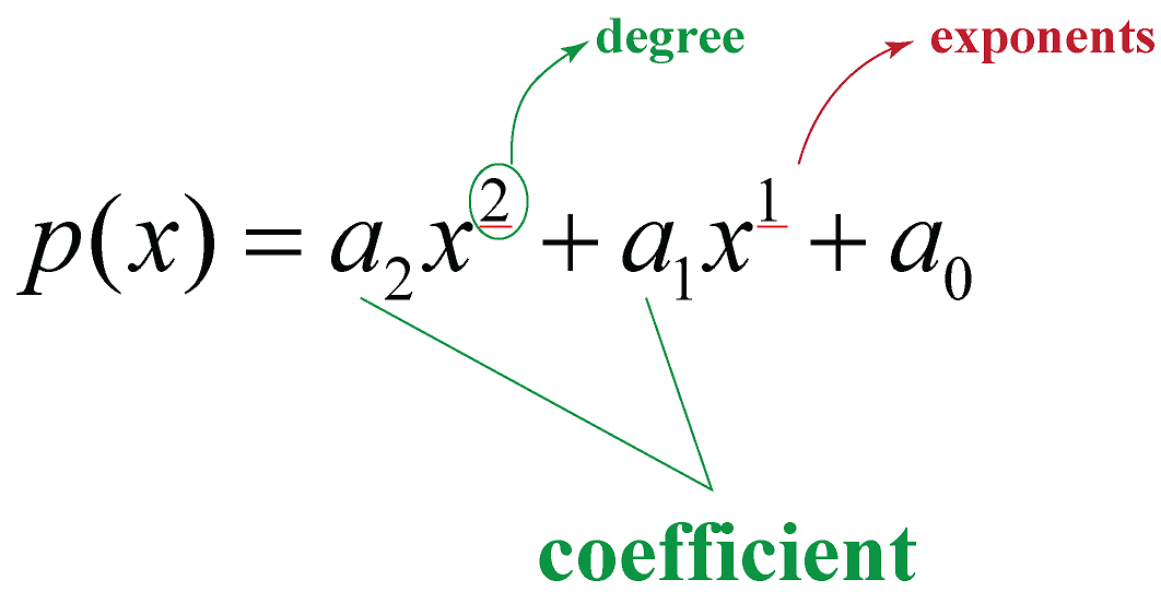 Nth Degree Polynomial General Form Concept Solved Examples Cuemath