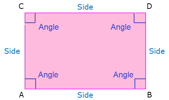 Quadrilaterals Corbettmaths