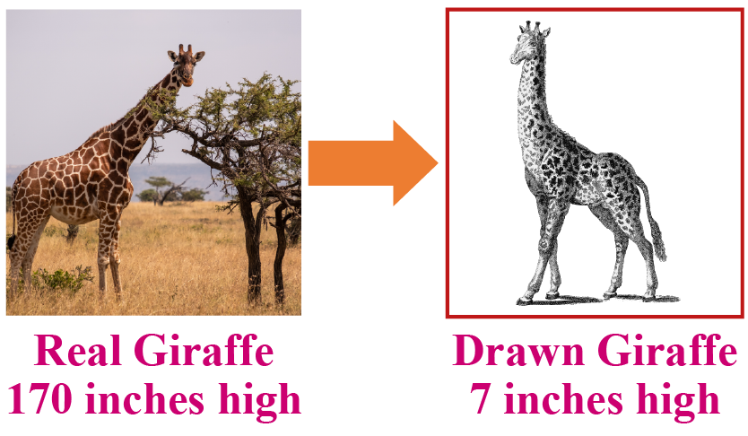 Scale - Cuemath