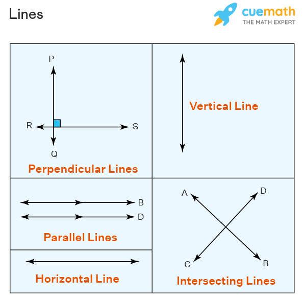 Segment Bisector Geometry