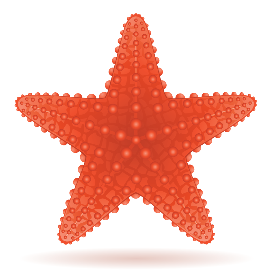Symmetry Definition Solved Examples Geometry Cuemath Symmetry Definition Solved Examples Geometry Cuemath