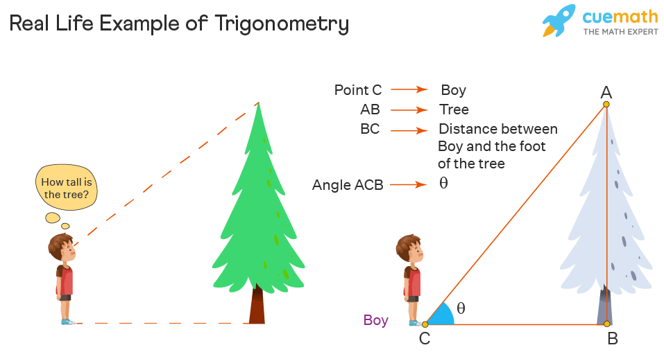 Trigonometry What Is Trigonometry Formulas Table Examples Trigonometry What Is Trigonometry Formulas Table Examples