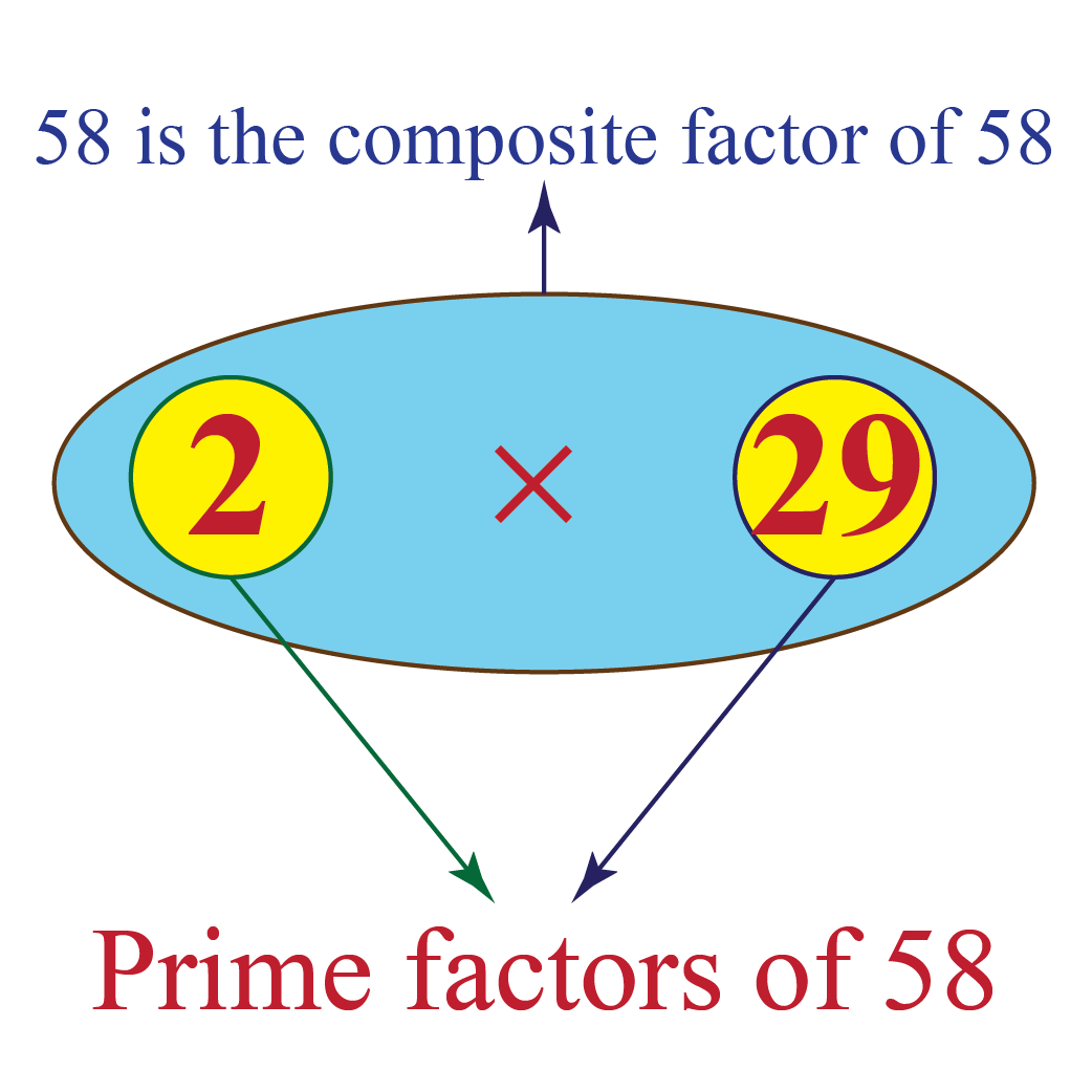 Factors Of 58 Cuemath