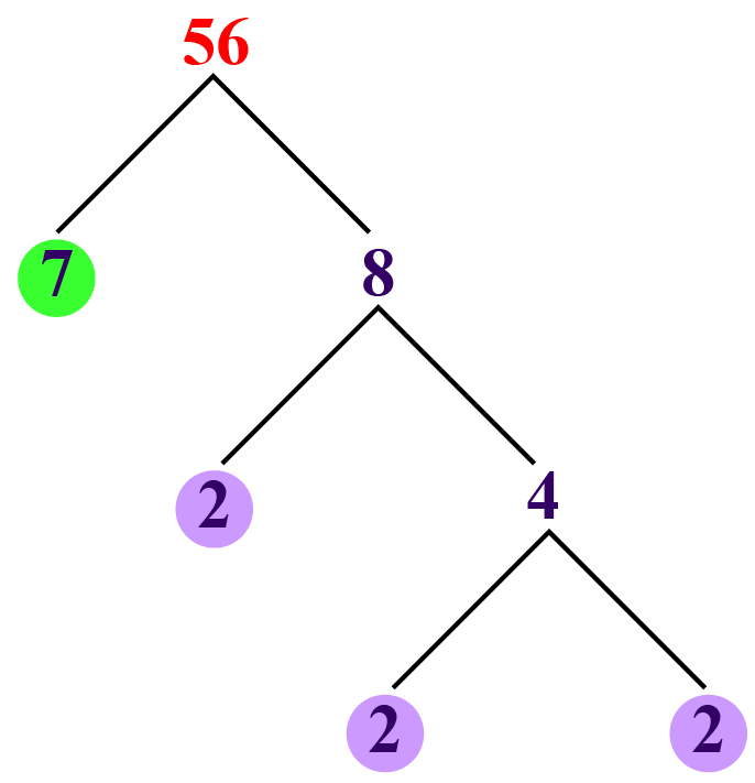 Factors Of 53