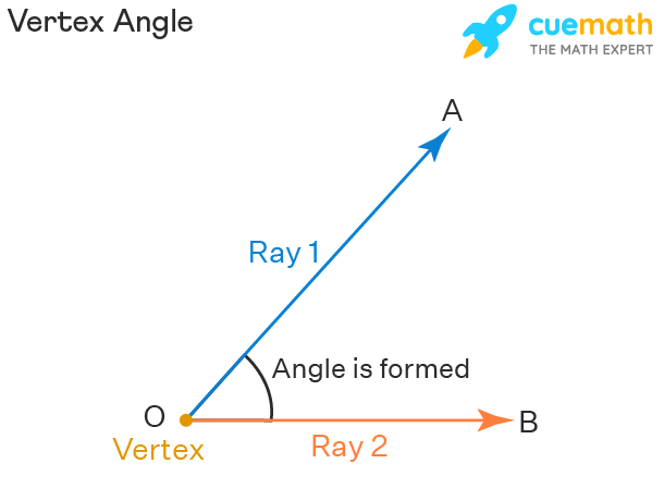 Vertex Angle Definition Solid Shapes Parabola Examples